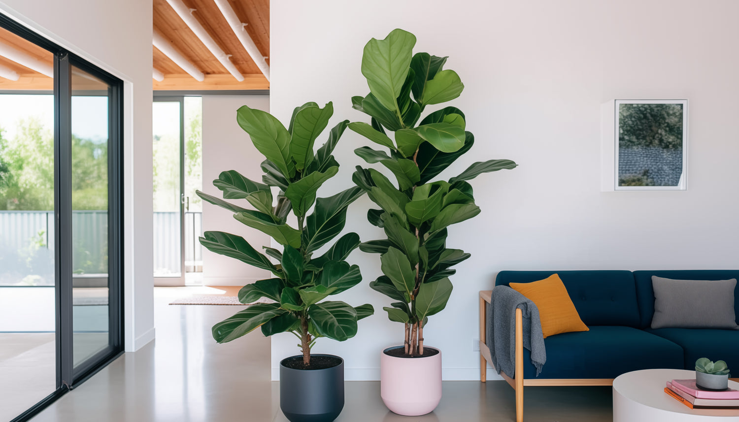 Towering Greens: A Guide to Large and Tall Houseplants for a Grand Sta ...