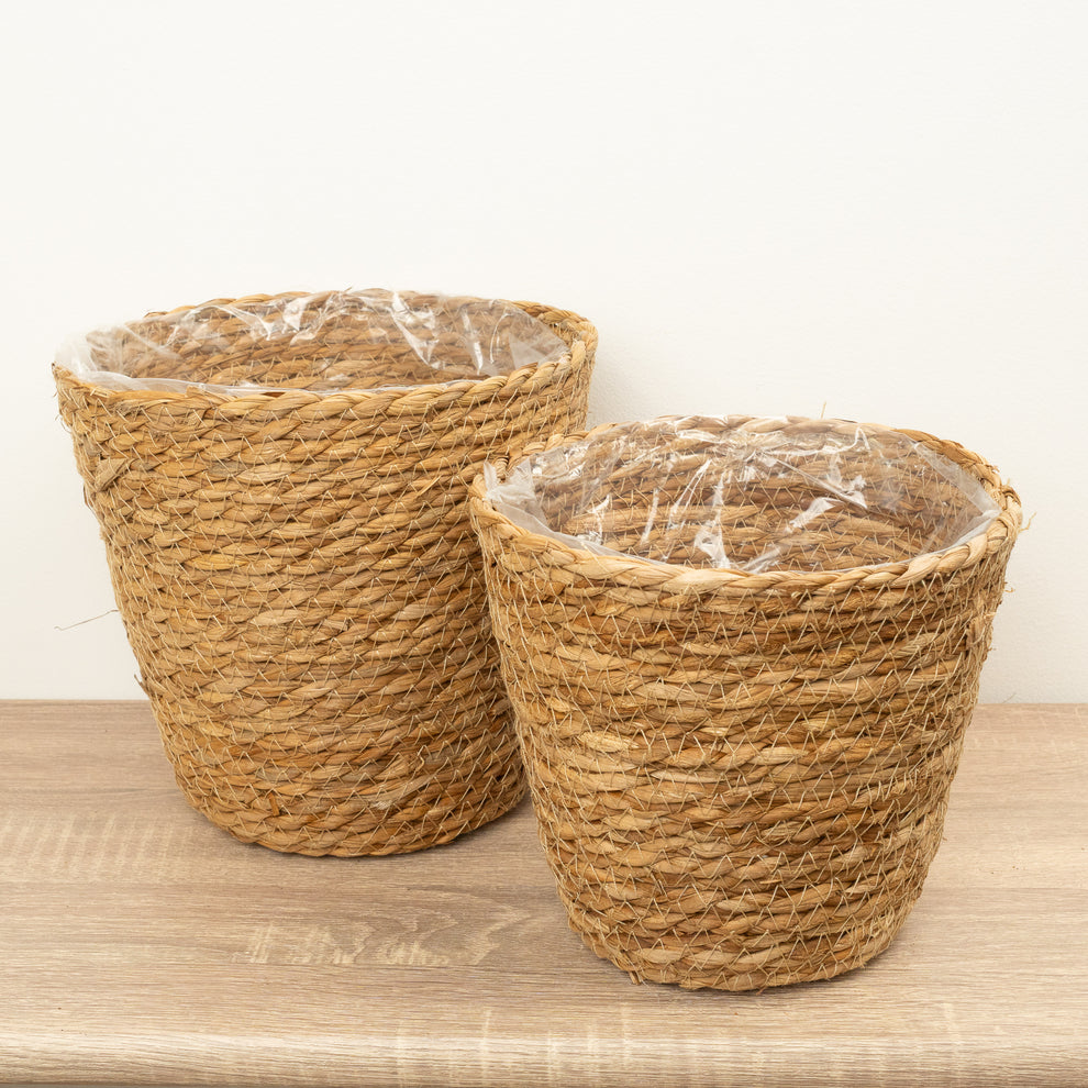Seagrass Straw Pot | Natural & Seagrass Plant Pot & Houseplant UK