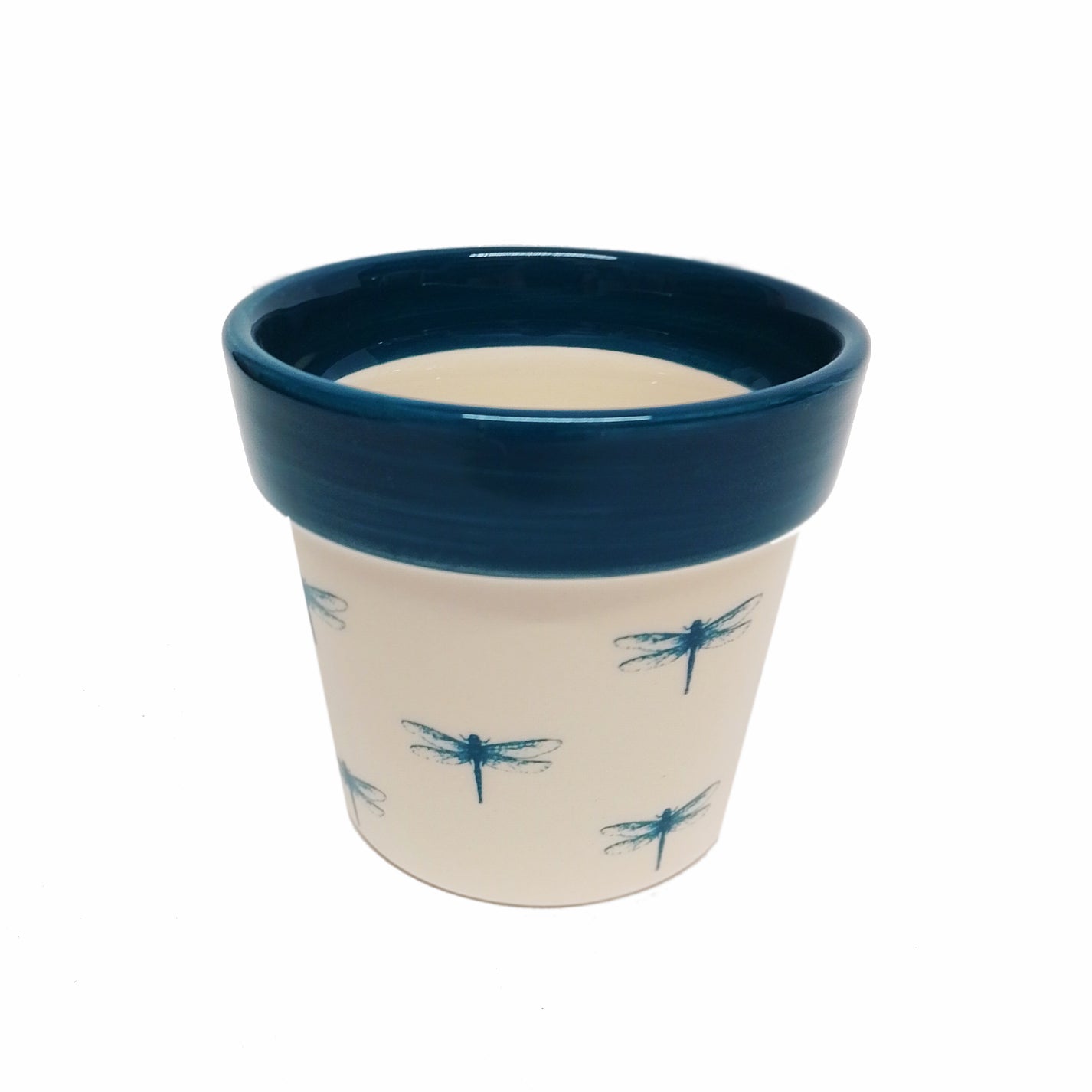 Dragonfly Pot | Ocean Blue & Ceramic Plant Pot & Houseplant UK